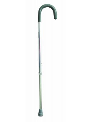 ProBasics Curved Handle Cane | Davisville Home Health Care: Medical ...